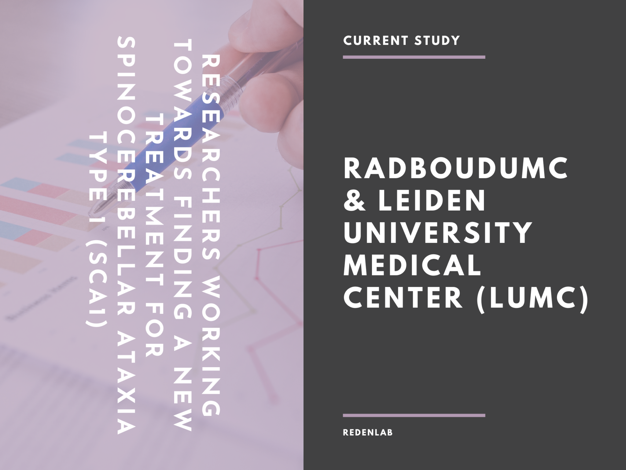 Researchers working towards finding a new treatment for Spinocerebellar Ataxia Type 1 (SCA1 ...